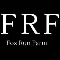 50 Fun Activities To Do With Your Horse – Fox Run Farm