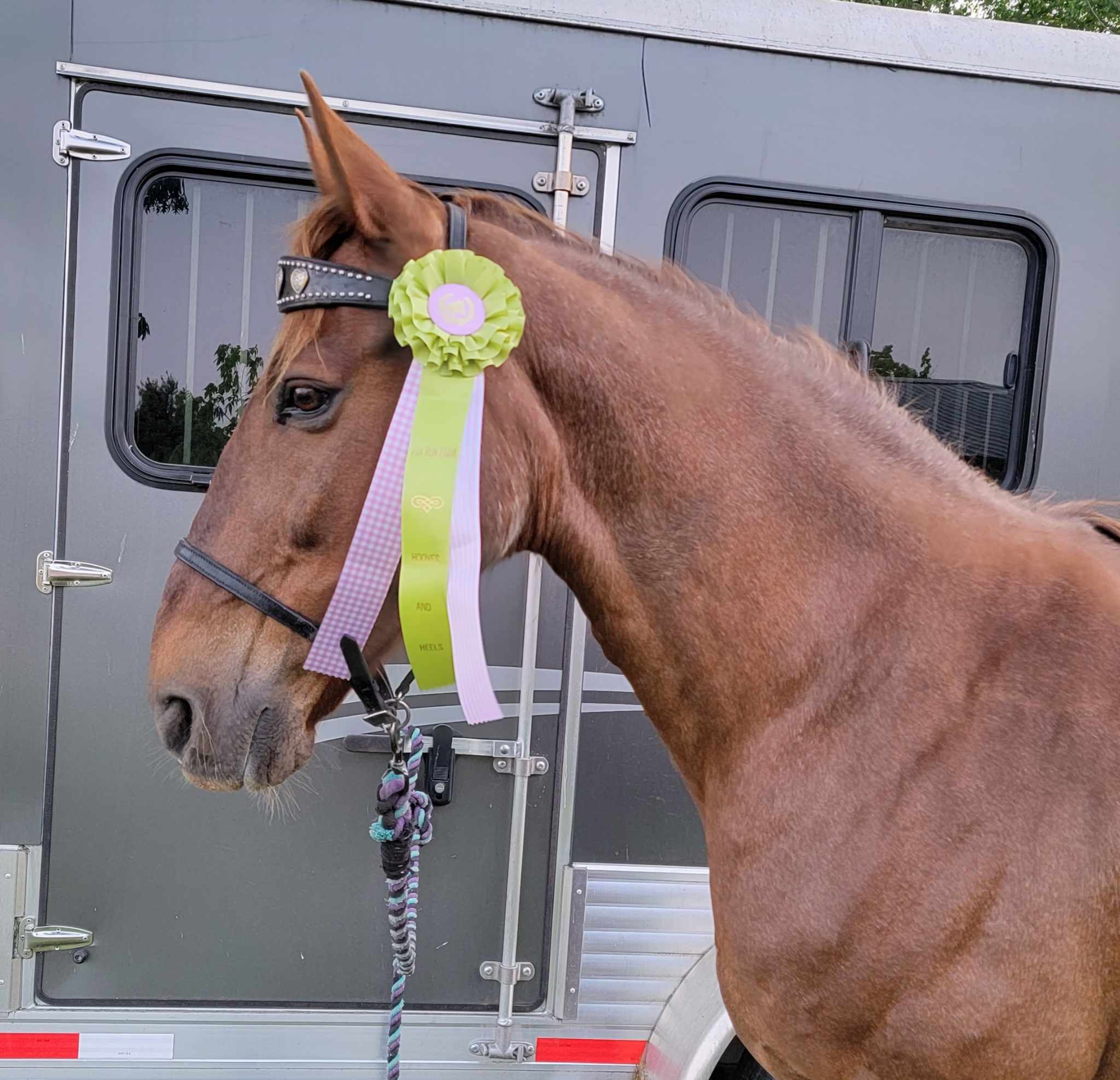 Hooves and Heels Online Challenge – Fox Run Farm