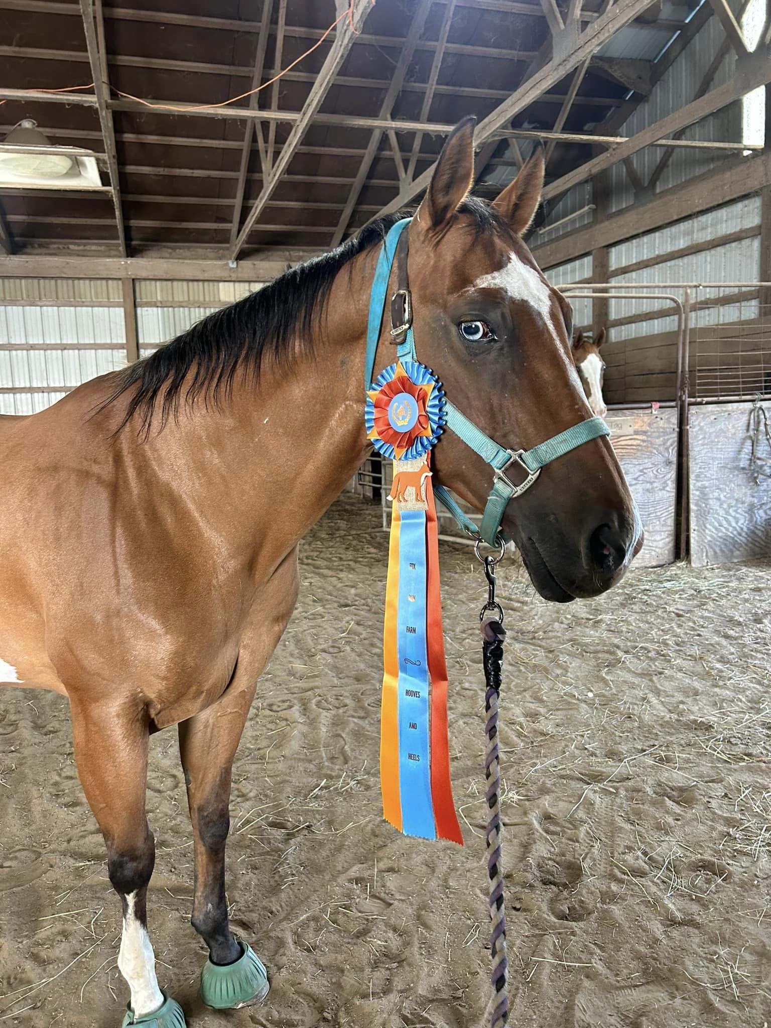 Hooves and Heels Online Challenge – Fox Run Farm